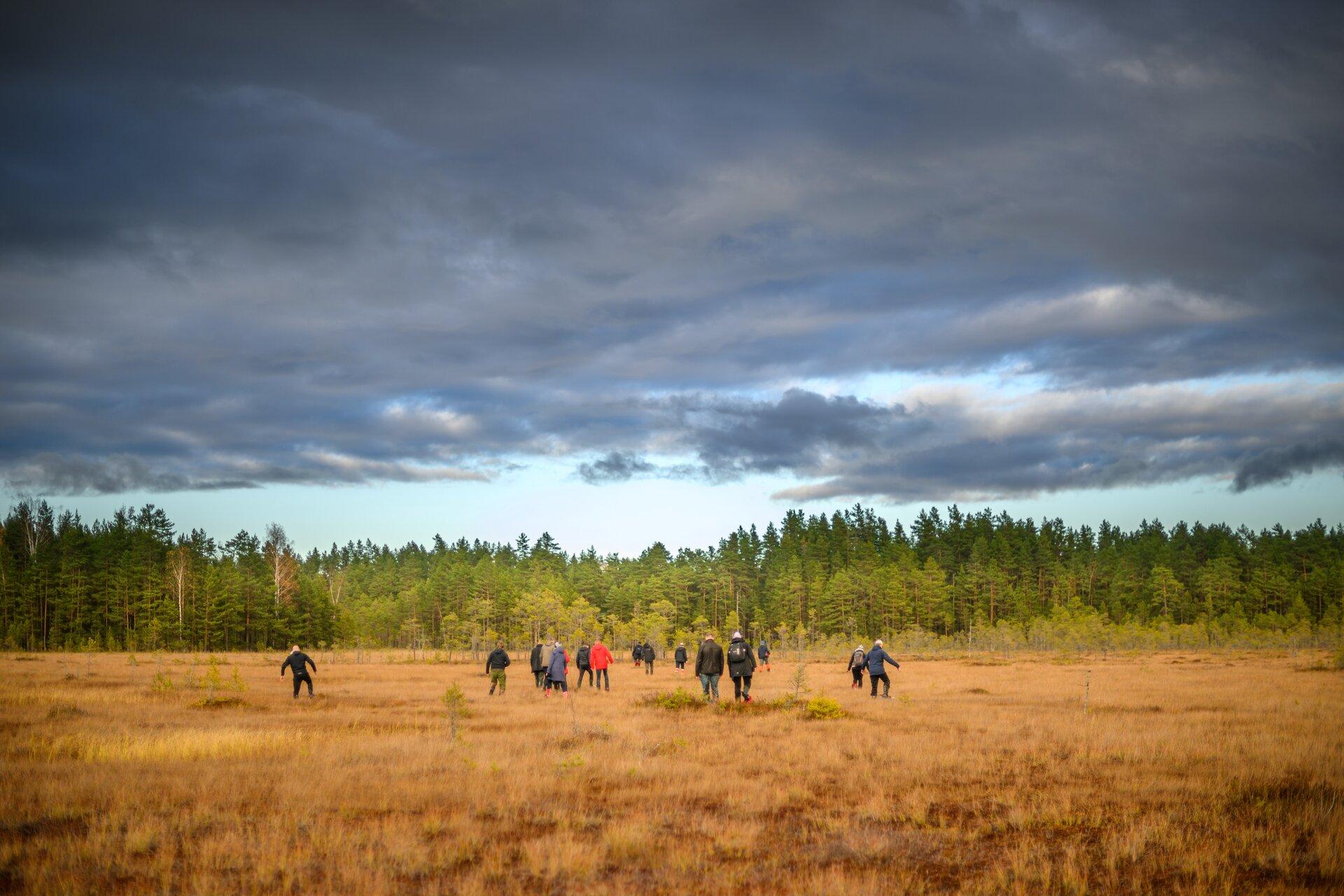 Jõhvikaretk Agusalu sohu koos retkejuhiga - Ida-Virumaa